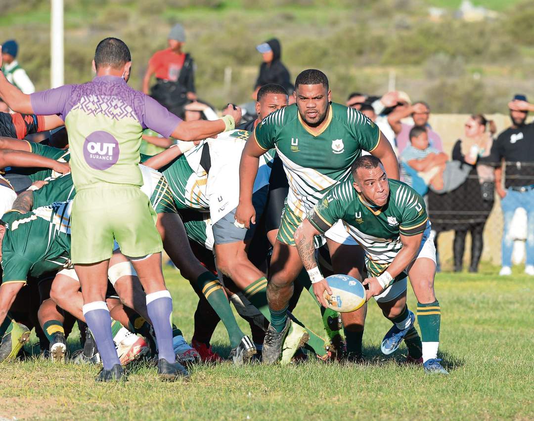 Abbotsdale blom behoorlik teen Never Despair | Son