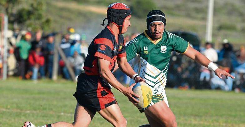 Abbotsdale blom behoorlik teen Never Despair | Son