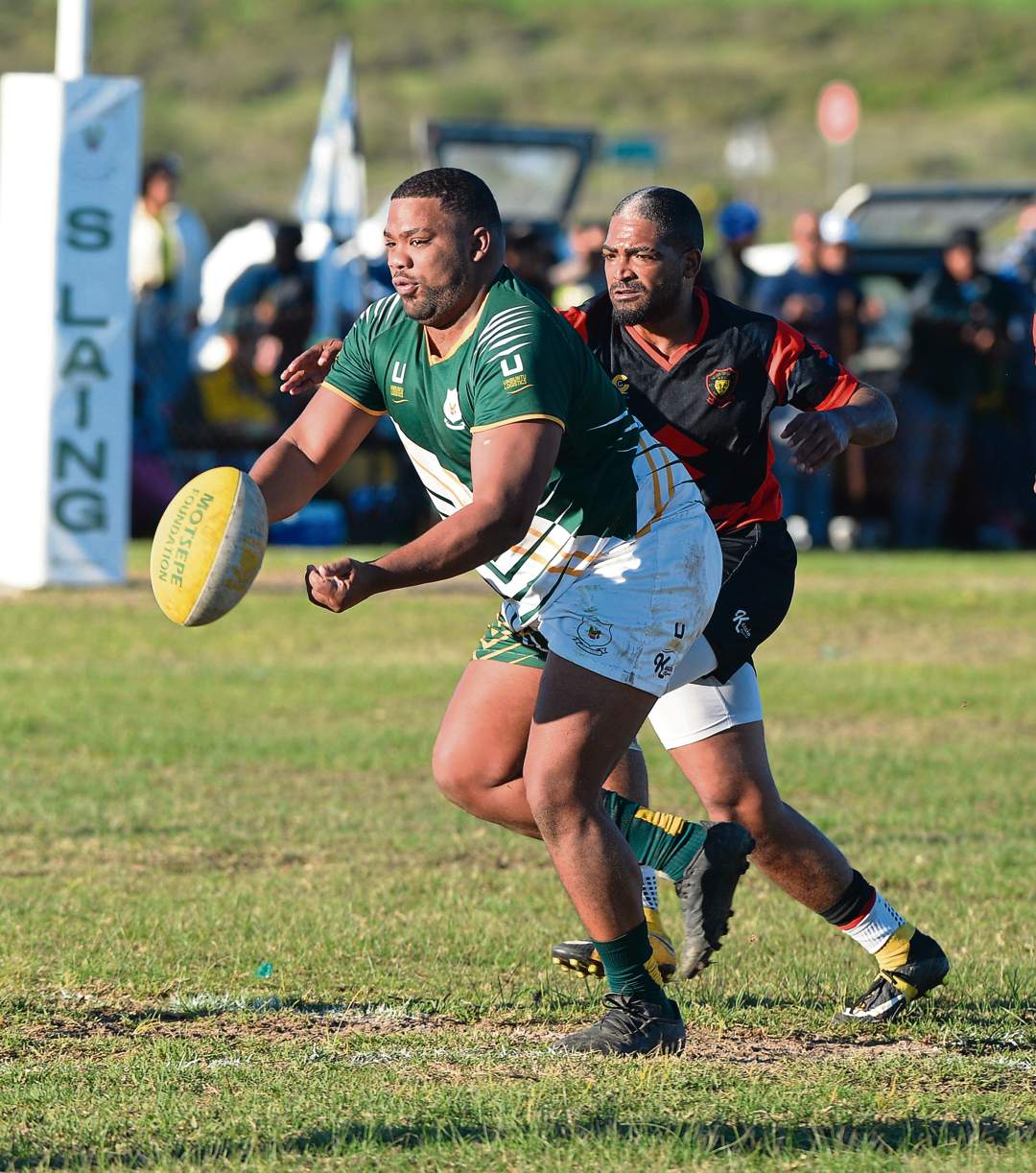 Abbotsdale blom behoorlik teen Never Despair | Son