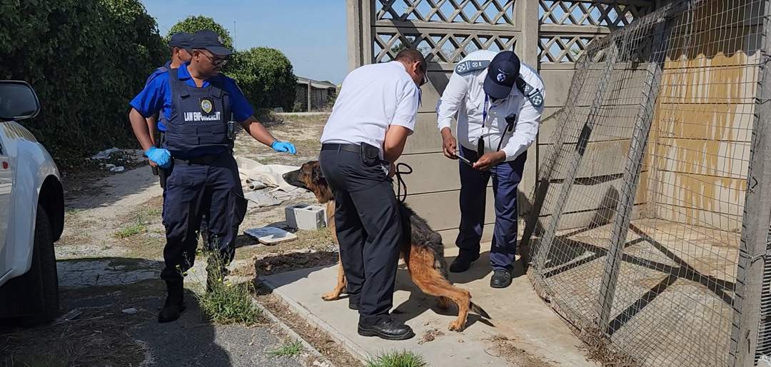 DBV red 16 diere uit haglike toestande in Philippi | Son