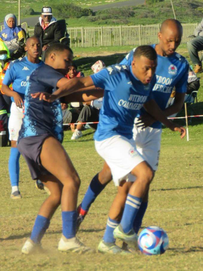 Grassy Park kraai koning | Son